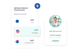 Secure Cross-Payment Platform | Wallex